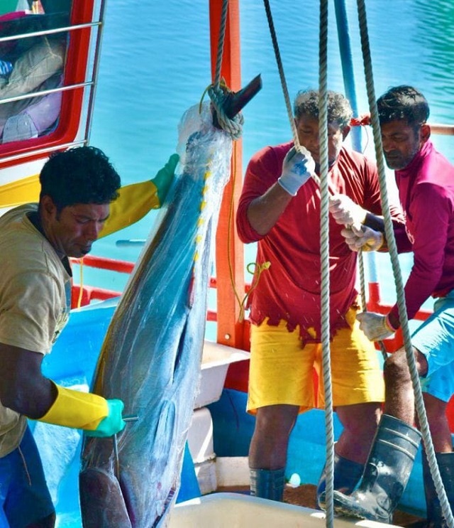 Seychelles' seafood company Ocean Basket plans new plant, processing 15 ...