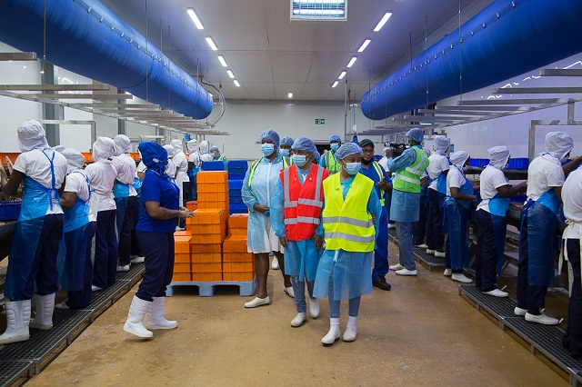 World Tuna Day: Seychellois students take a peek at one of largest tuna ...